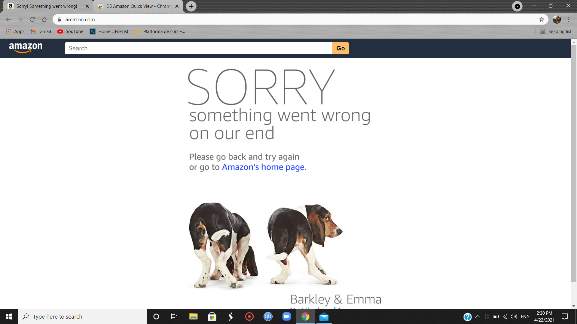 Anyone experiencing an Error Page while browsing through Amazon.com?