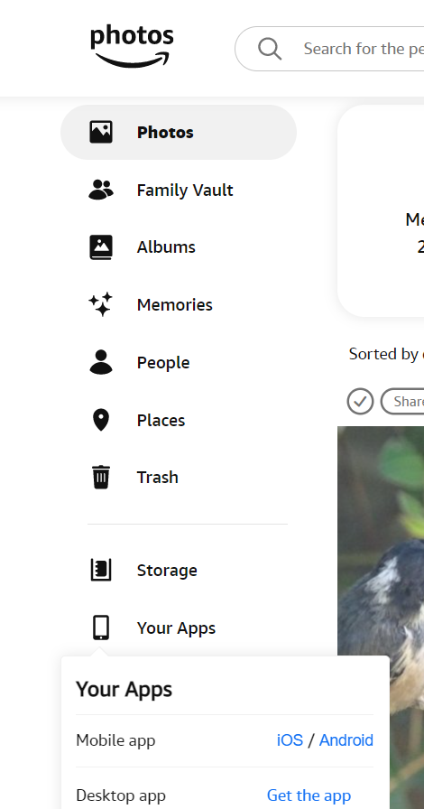 Amazon desktop drive