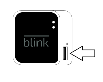 Memory stick for Blink storage