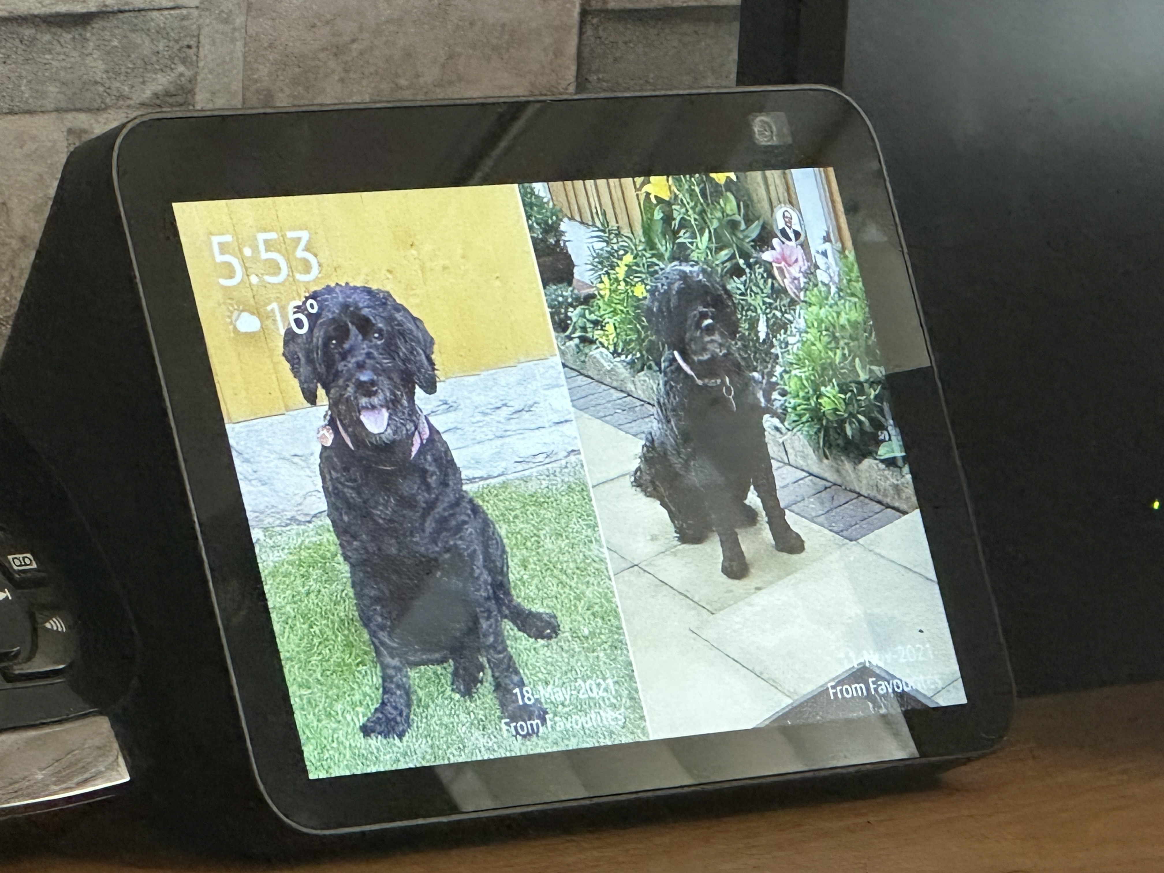 feedback on Alexa web app