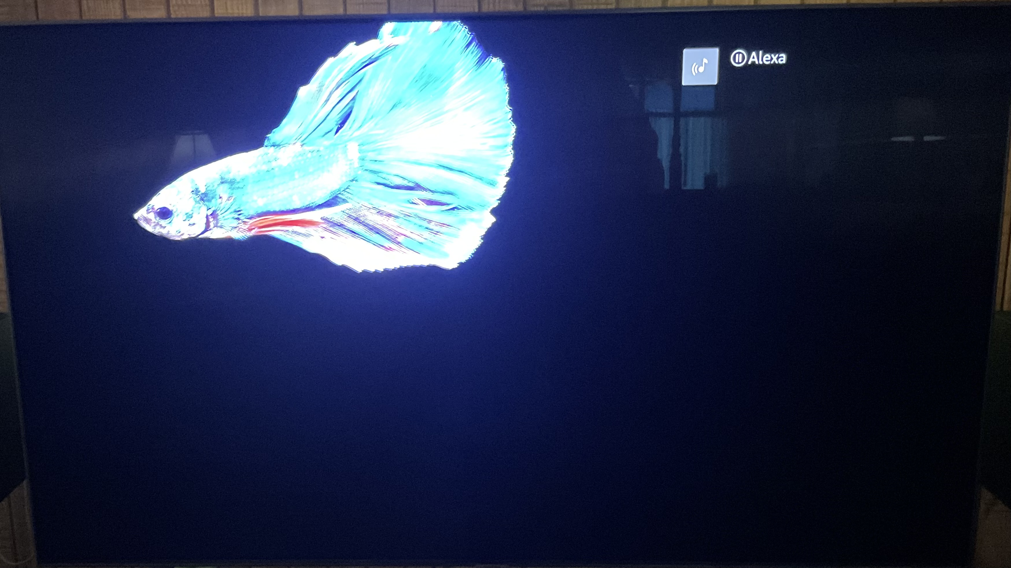 Ambient Mode now shows lame Alexa Music icon